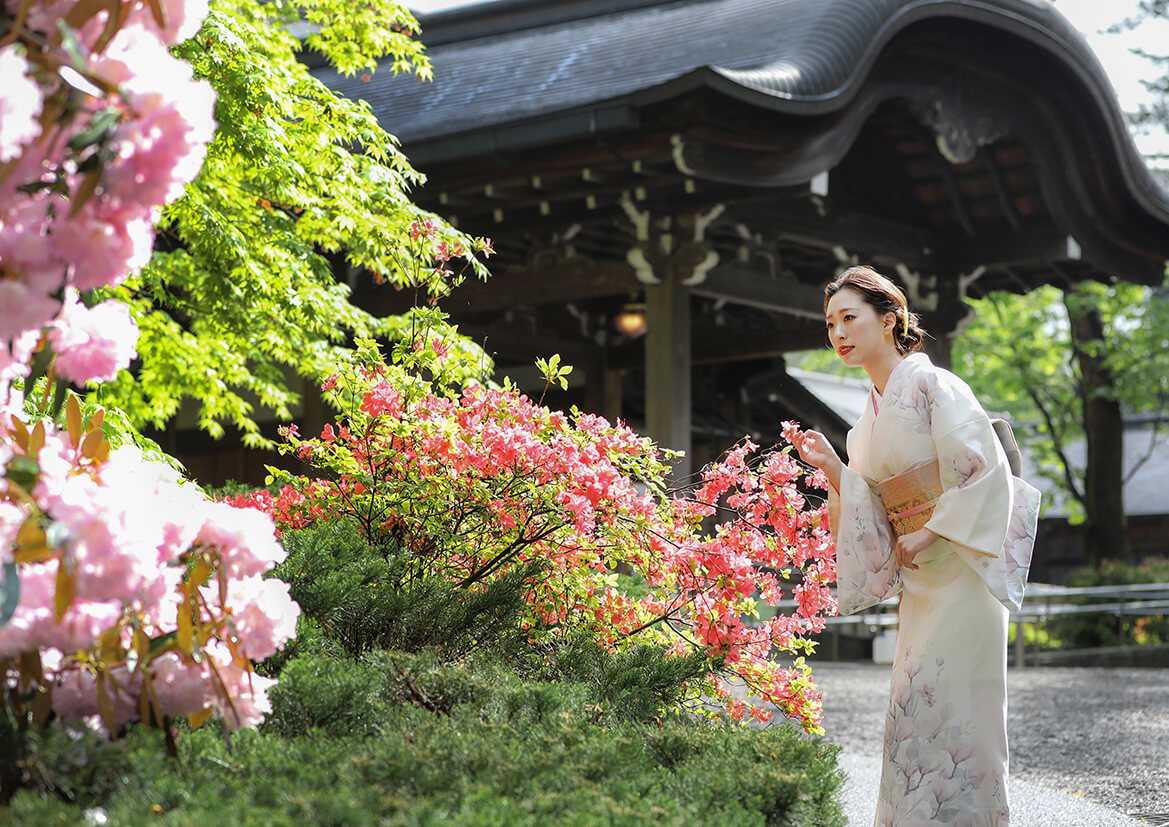 訪問着と付け下げのそれぞれの特徴と違いをご紹介! 着物辞典 着物の疑問解消します